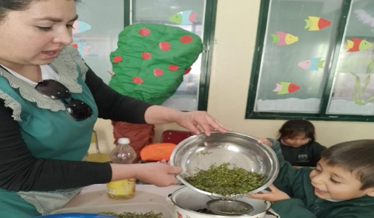 Educación jarrilla Catamarca planta aceite jardín